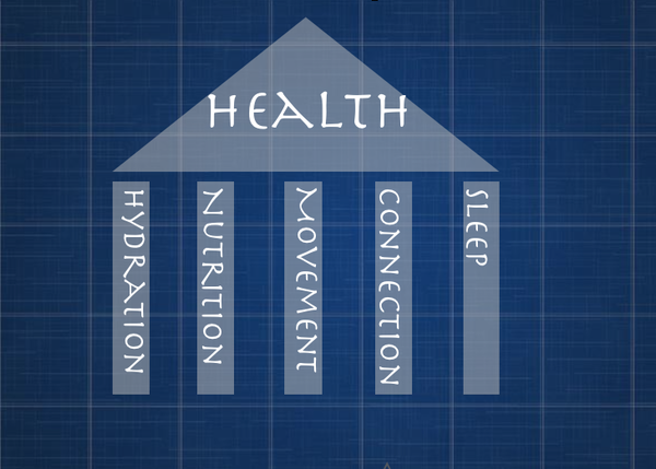 5-pillars-of-health - Trainerize.me
