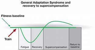 General Adaptation Syndrome - Trainerize.me