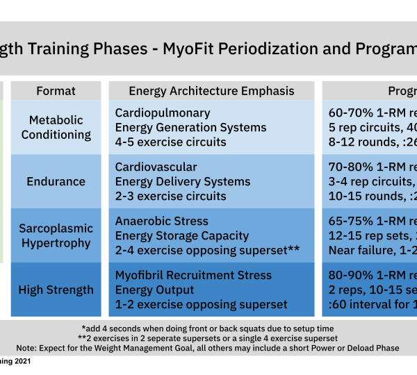 Strength training phases MyoFit periodization (3) - Trainerize.me