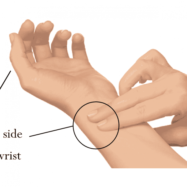 Radial Pulse - Trainerize.me