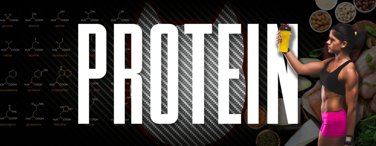 Protein Revisited - Trainerize.me