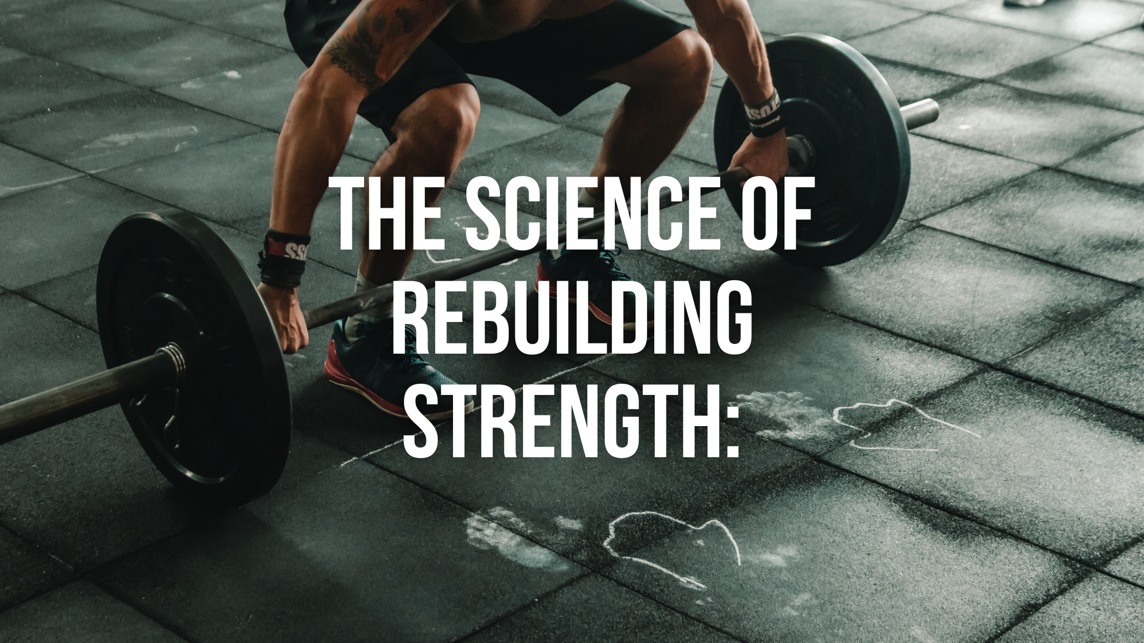 Why Structured Phases Matter in Rebuilding Strenght - Fitness articles ...